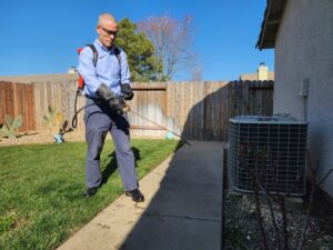 Prize Pest Control Dallas Fort Worth TX – DFW Pest Exterminators Rodent ...